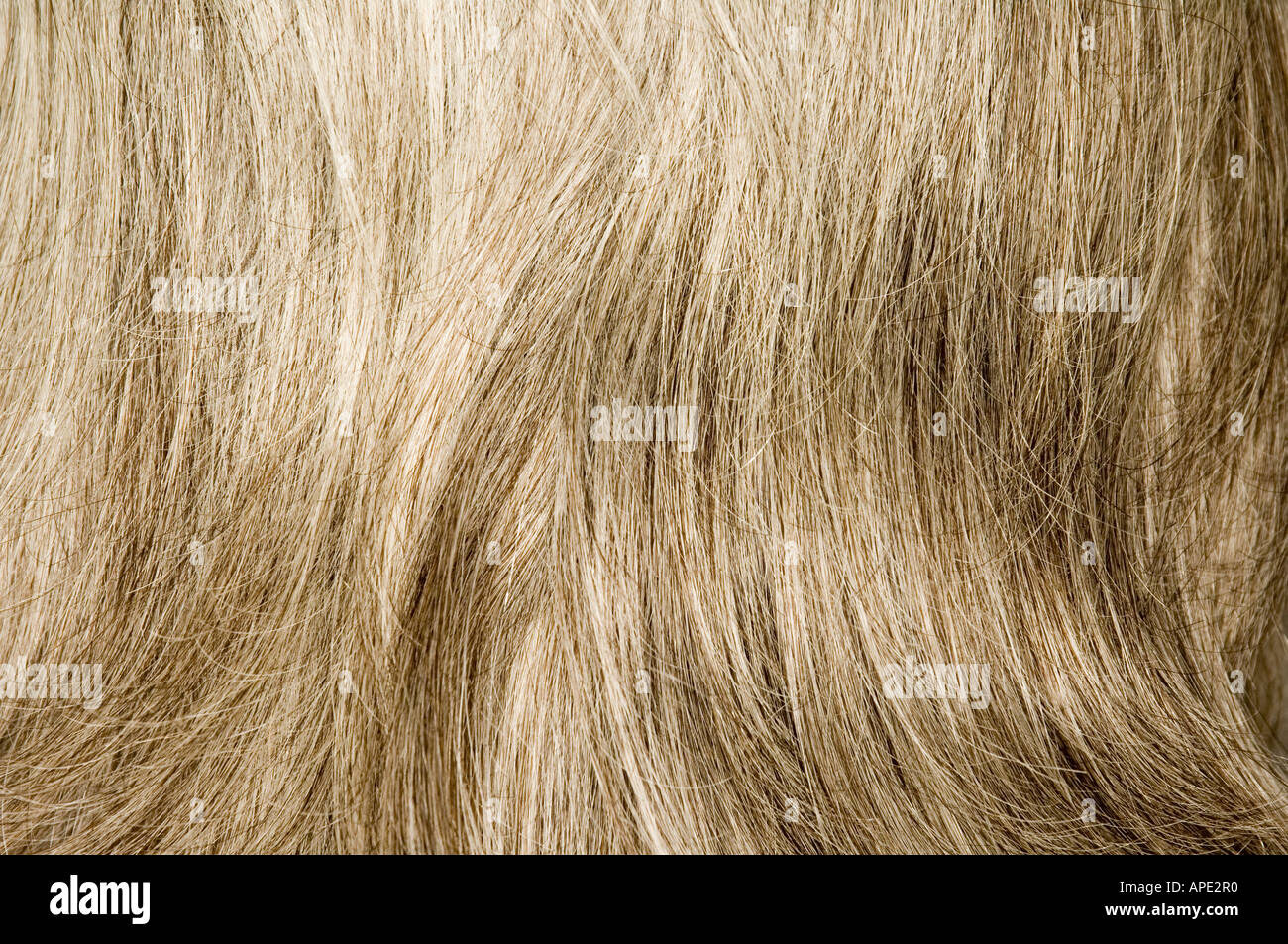 Female rear end High Resolution Stock Photography and Images - Alamy