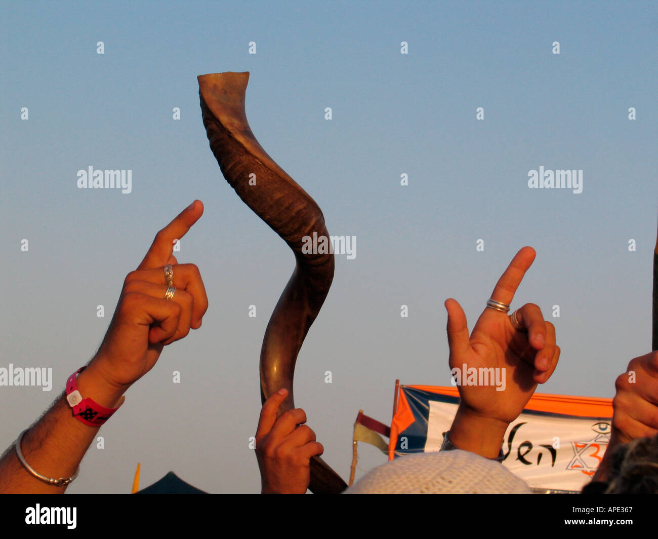 Young Israeli men dance with a traditional Shofar made from a ram horn ...