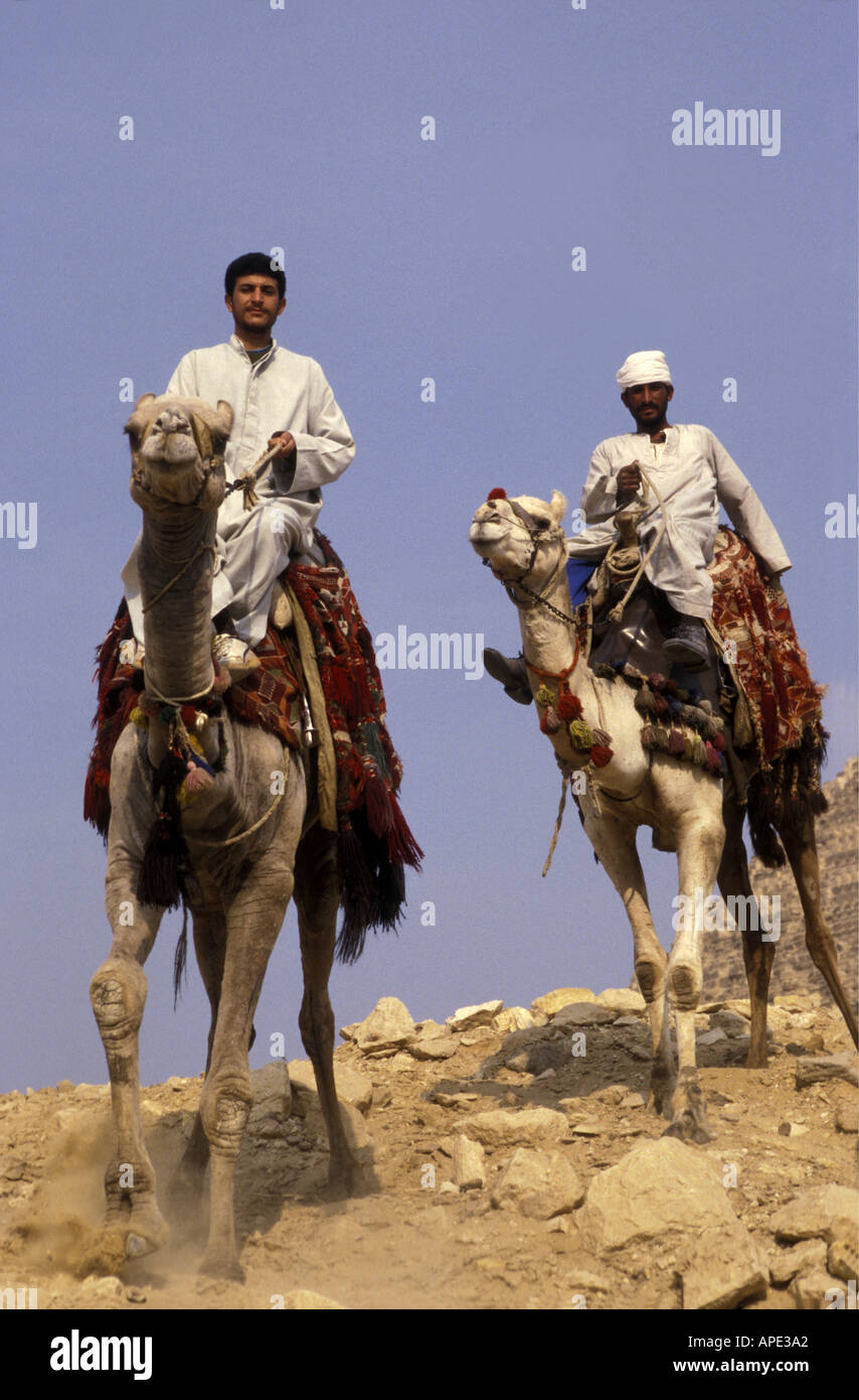 Camel Riders High Resolution Stock Photography and Images - Alamy