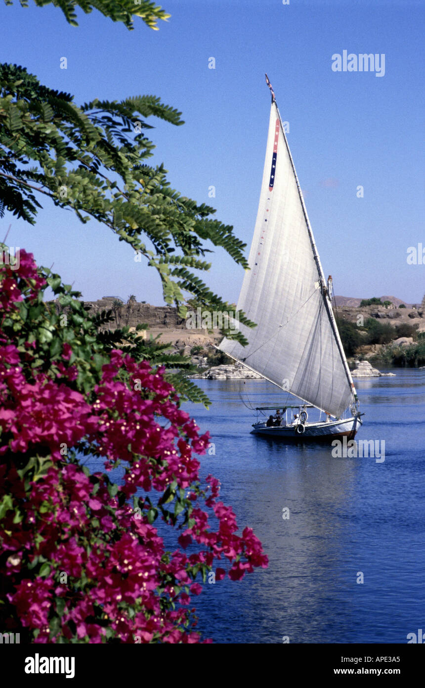 A felucca or sailing boat on the River Nile near Aswan Egypt north ...