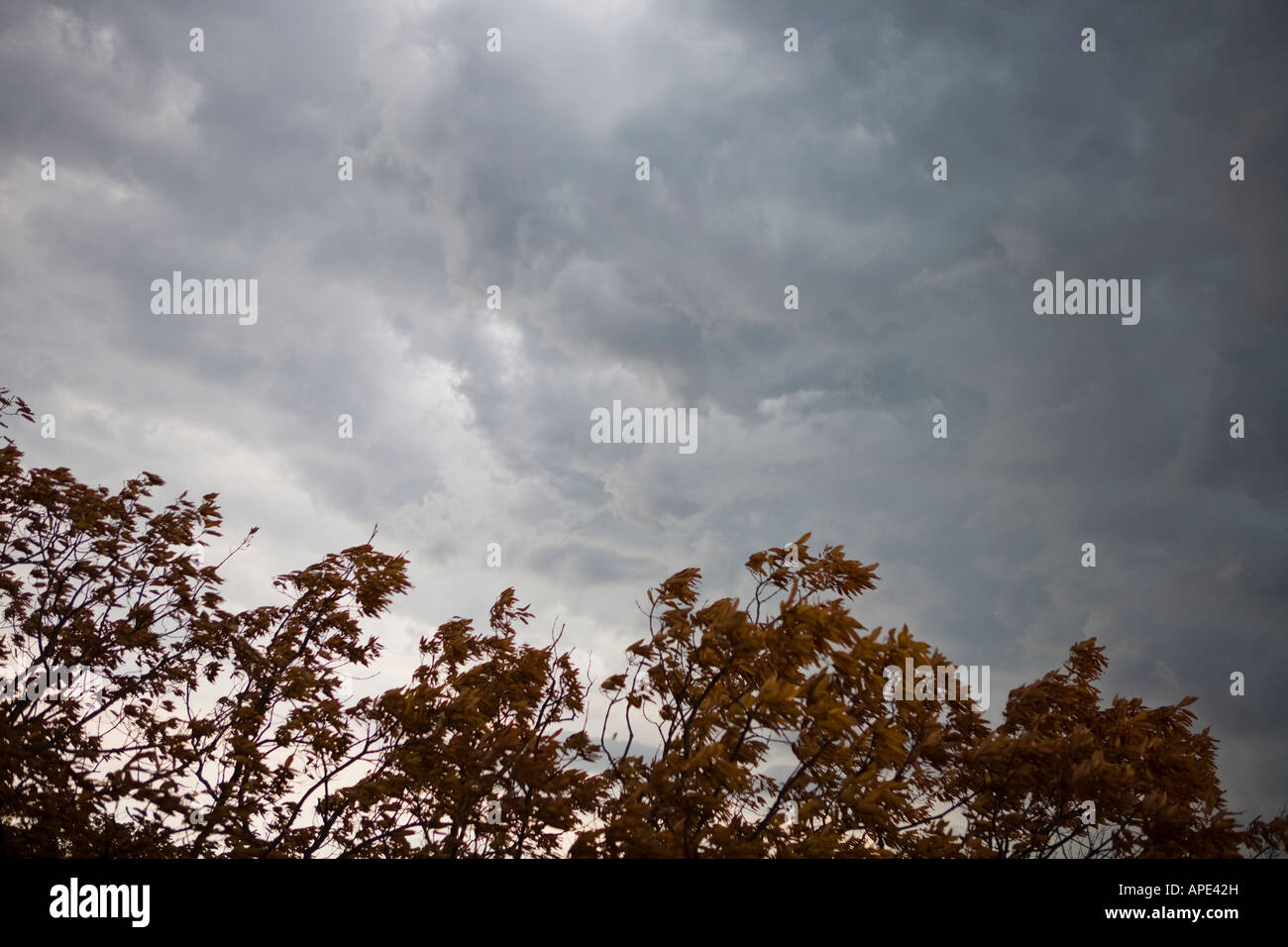 Storms clouds gather overhead Stock Photo - Alamy