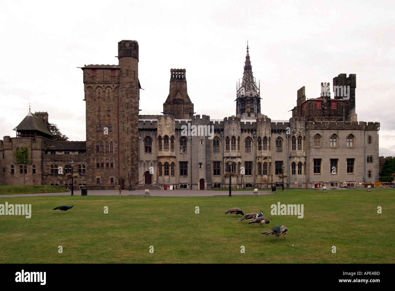 Cardiff Castle Victorian rebuild of a Norman Castle Stock Photo - Alamy
