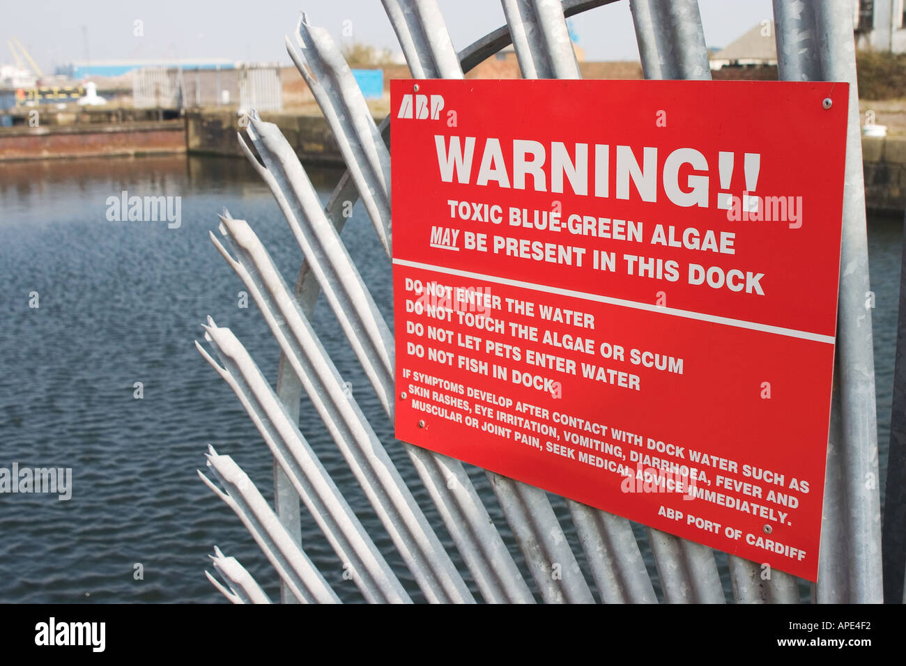 Warning sign for toxic blue green algae in Cardiff Bay docks Cardiff ...