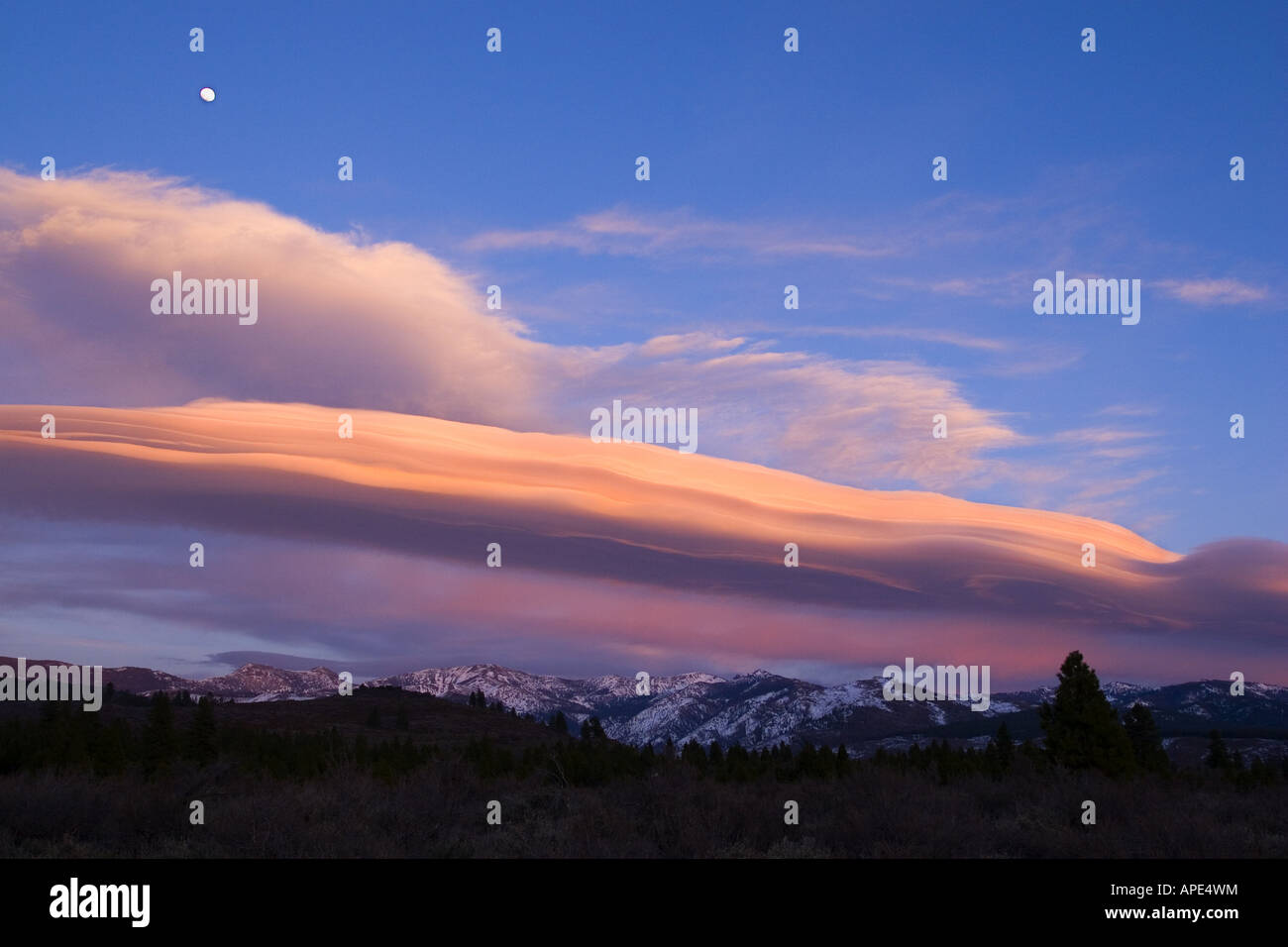 Lenticular clouds and the full moon at sunset with alpenglow above the ...
