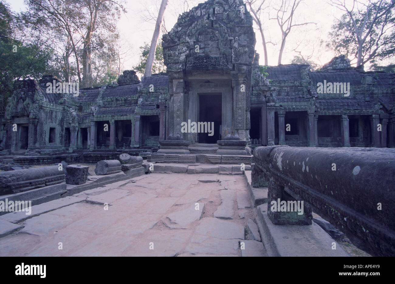 Inside ta prohm temple ruins hi-res stock photography and images - Alamy