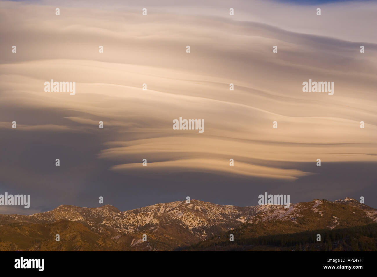 Lenticular clouds at sunset above the Carson Range in Nevada, USA Stock ...