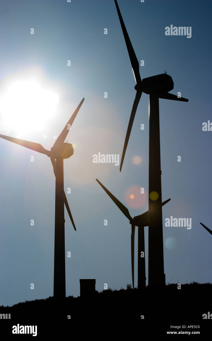 Wind turbines in the sun Stock Photo - Alamy