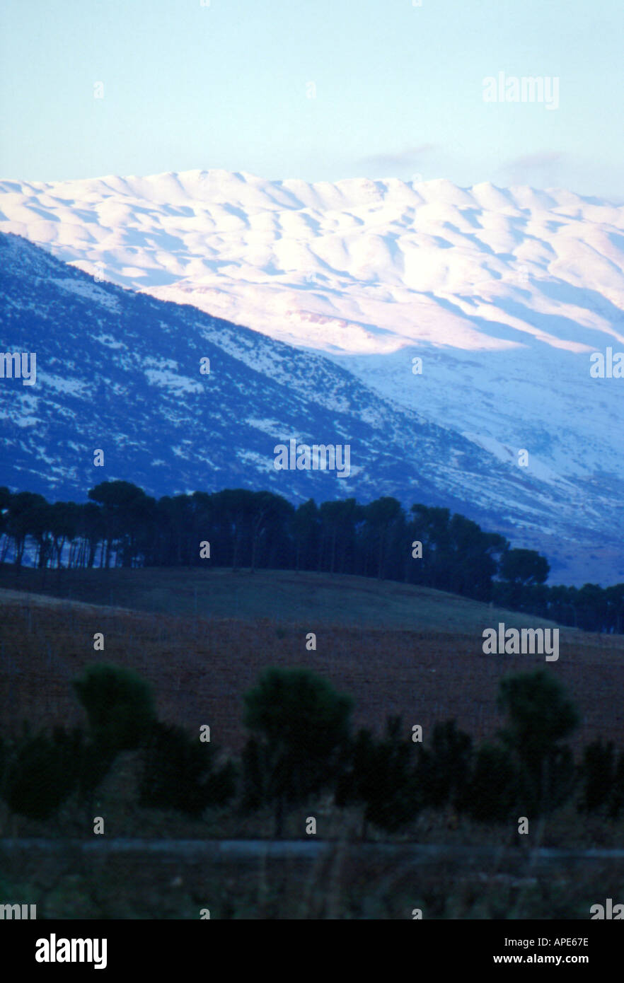 La bekaa valley hi-res stock photography and images - Alamy