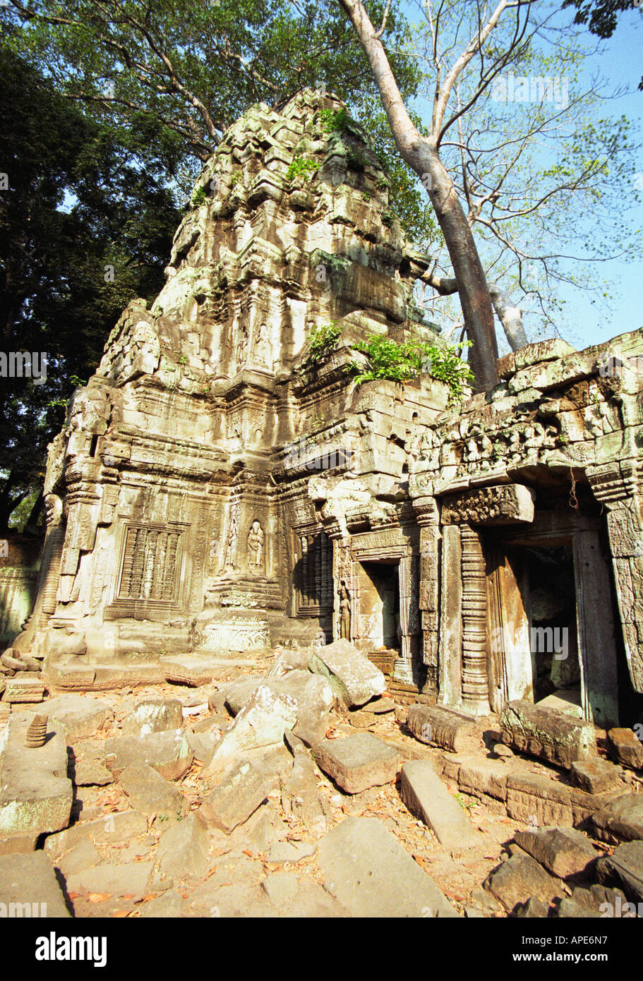Tower At Ta Prohm Stock Photo - Alamy