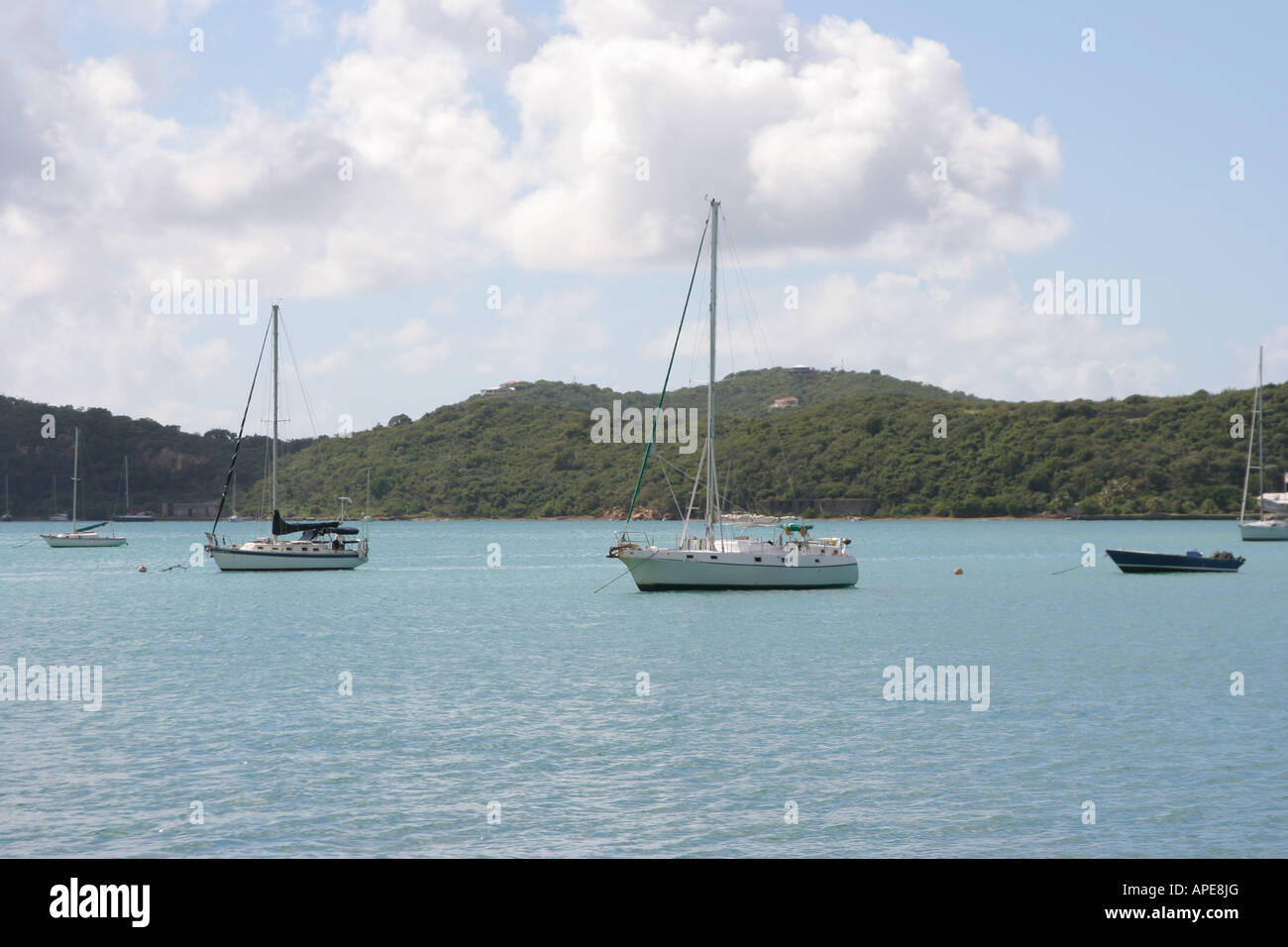 Sailboats anchored in a Caribbean port Stock Photo - Alamy
