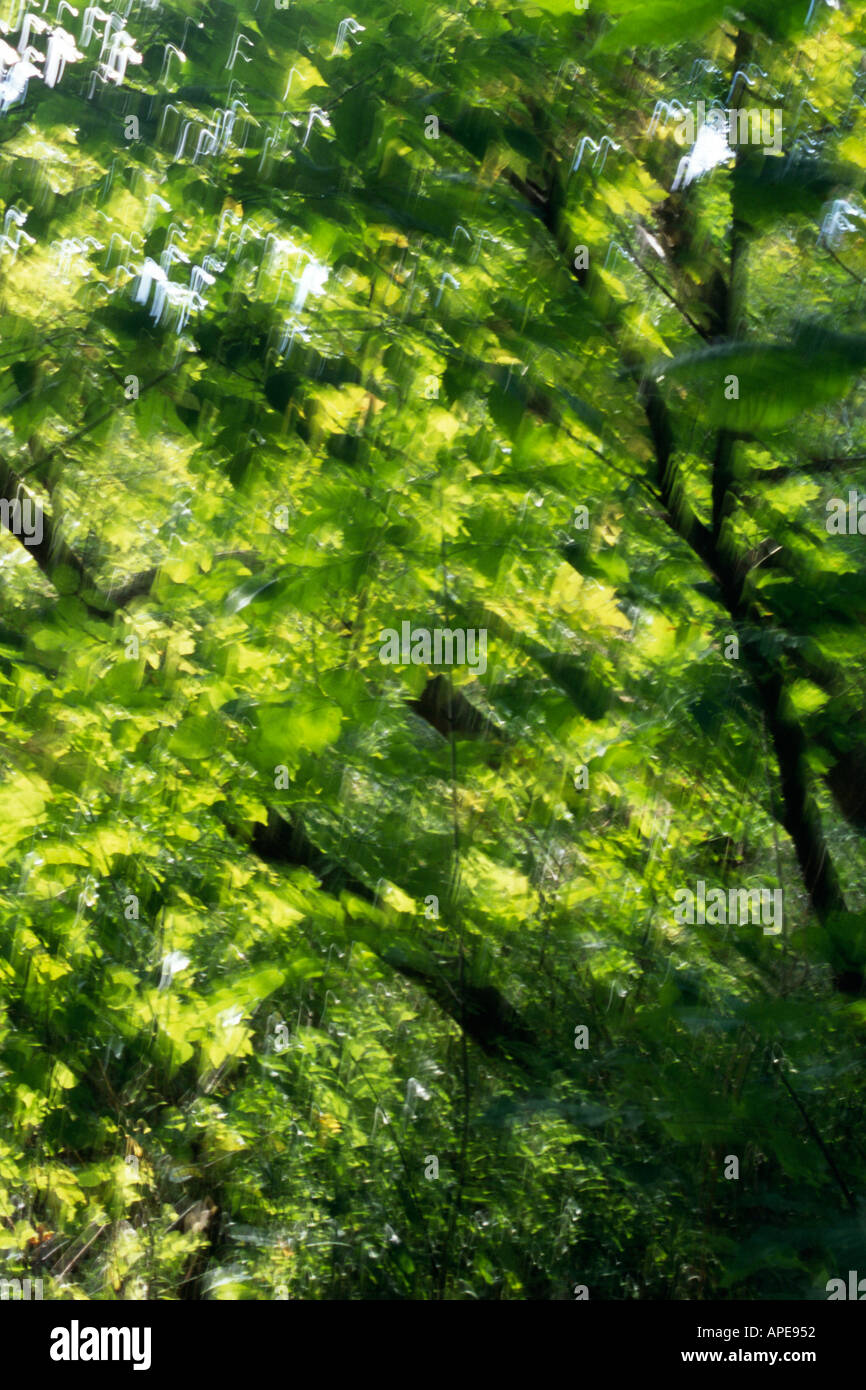 Colours of Autmn Stock Photo - Alamy