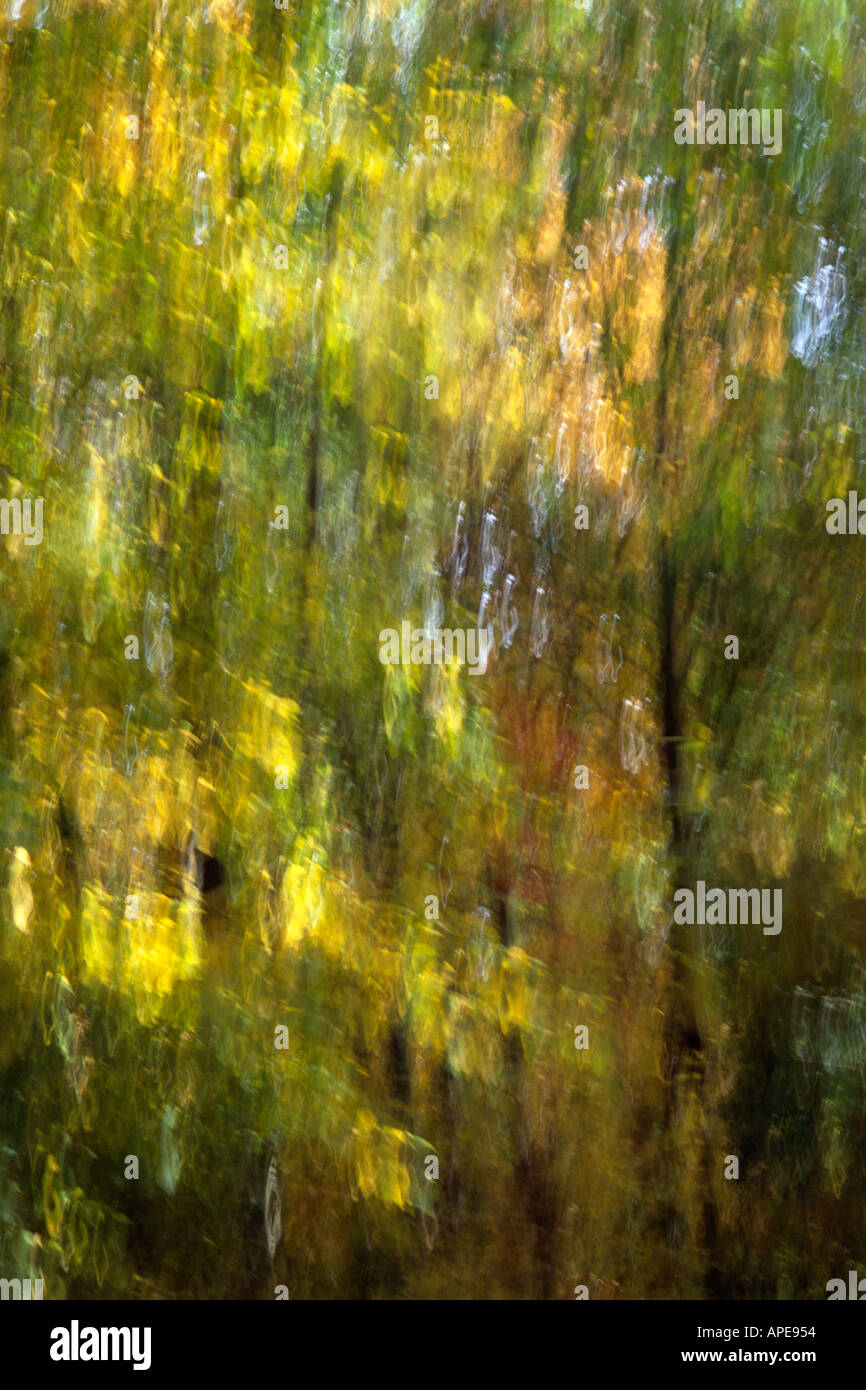 Colours of Autmn Stock Photo - Alamy
