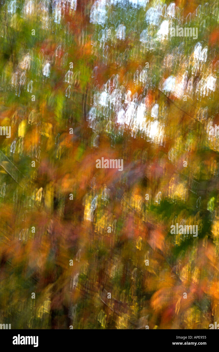 Colours of Autmn Stock Photo - Alamy