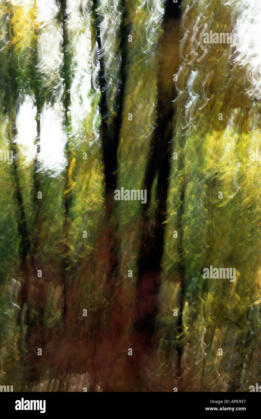 Colours of Autmn Stock Photo - Alamy