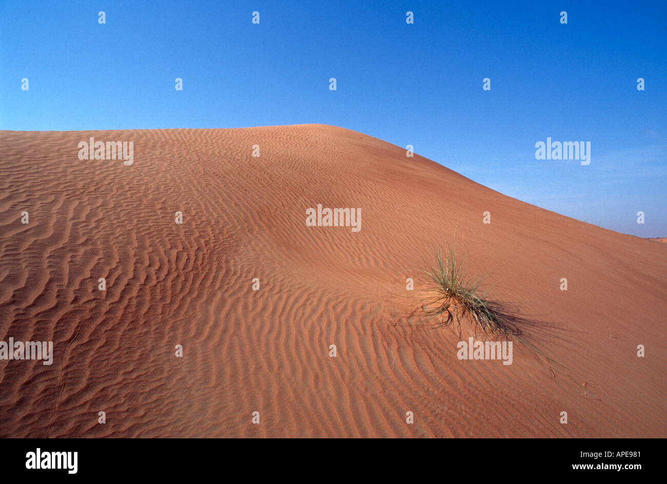 UAE Sand Dunes Stock Photo - Alamy