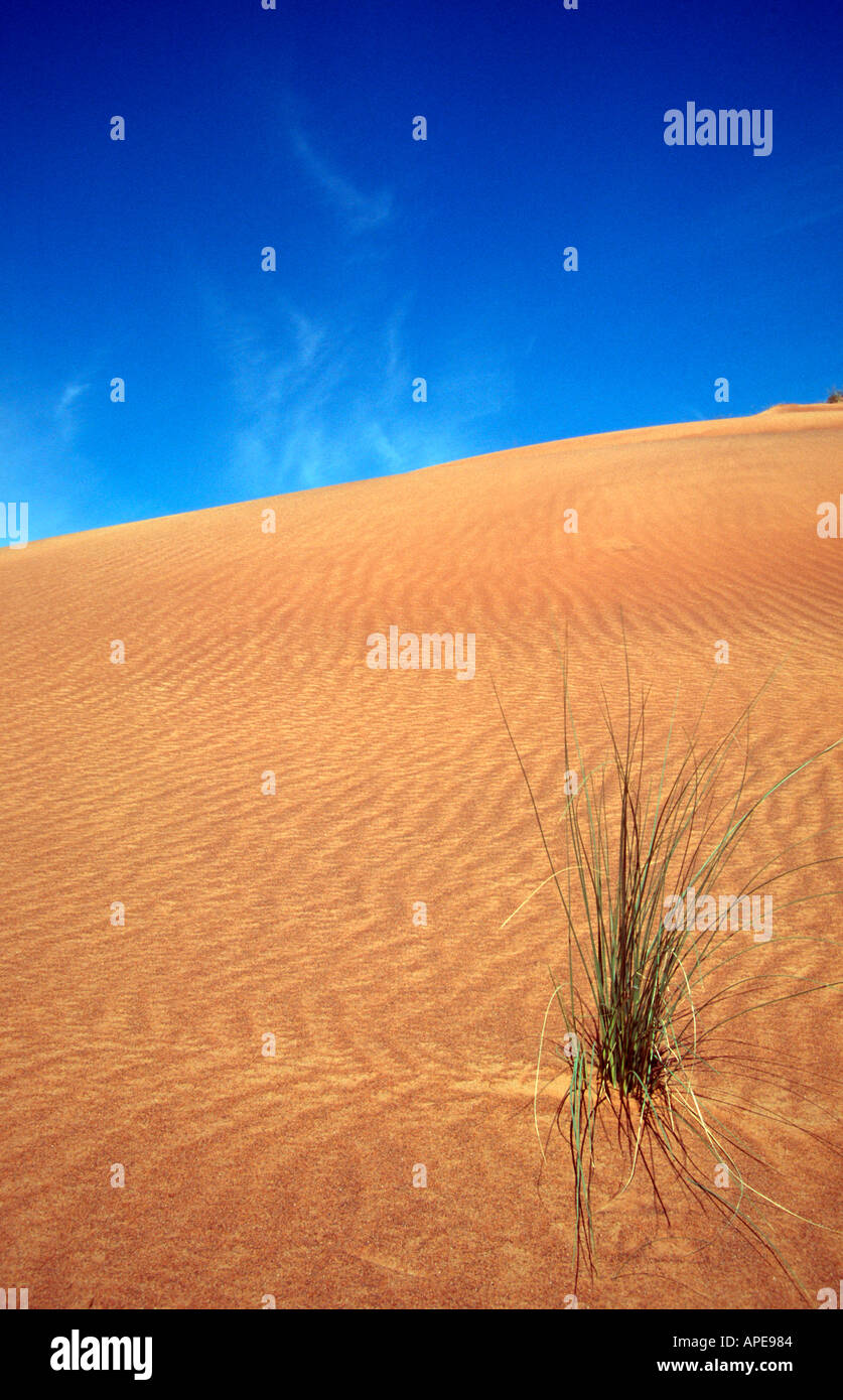 UAE Sand Dunes Stock Photo - Alamy
