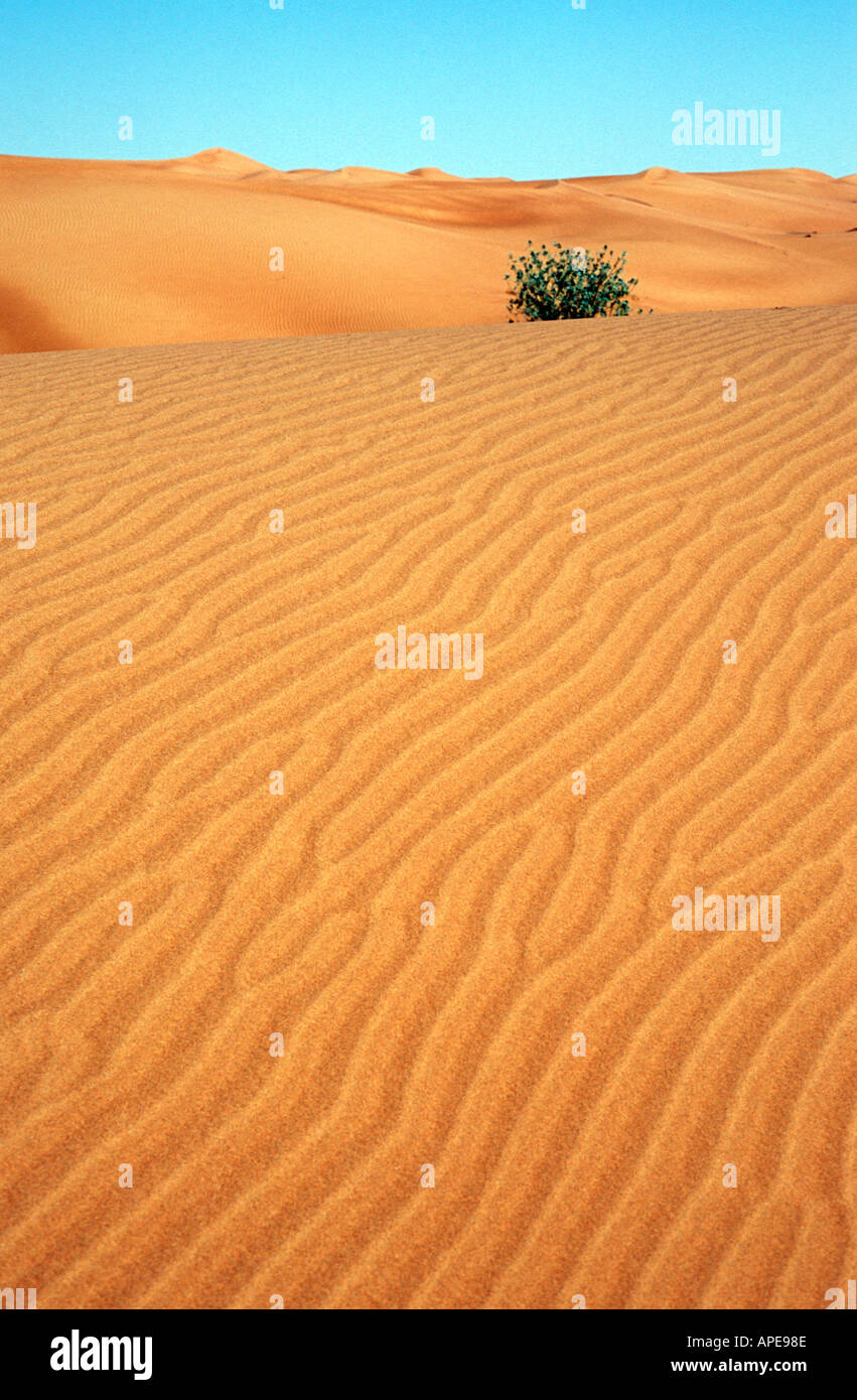 UAE Sand Dunes Stock Photo - Alamy