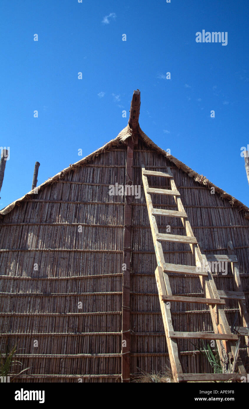 Date Palm Hut Stock Photo - Alamy