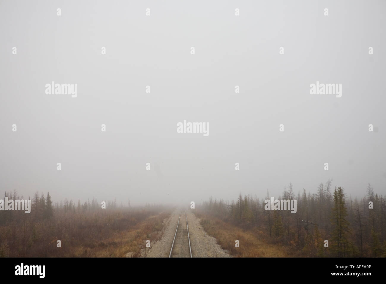 A train track runs through the boreal forest on a foggy day Stock Photo ...