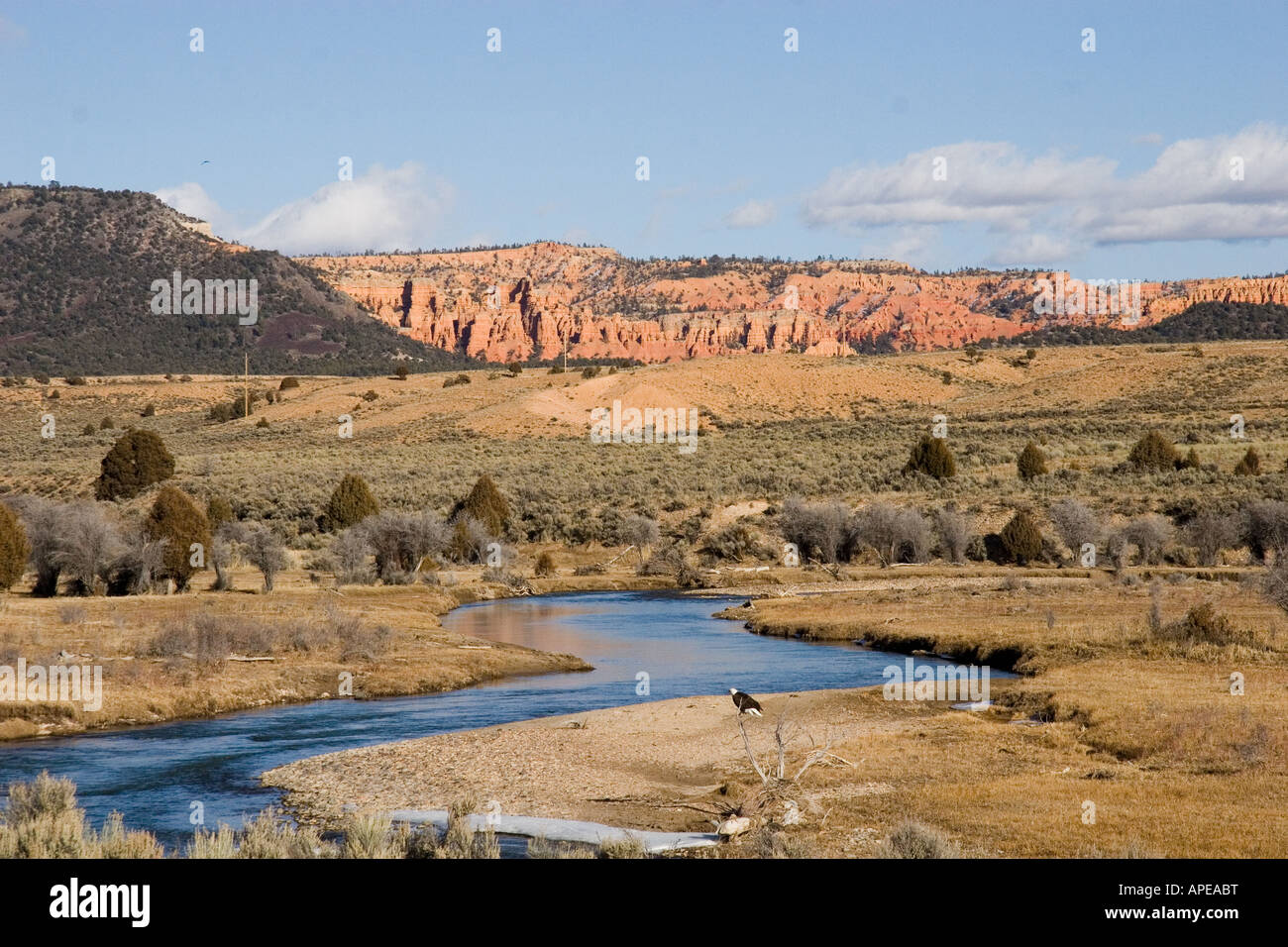A desert scene in Utah Stock Photo - Alamy