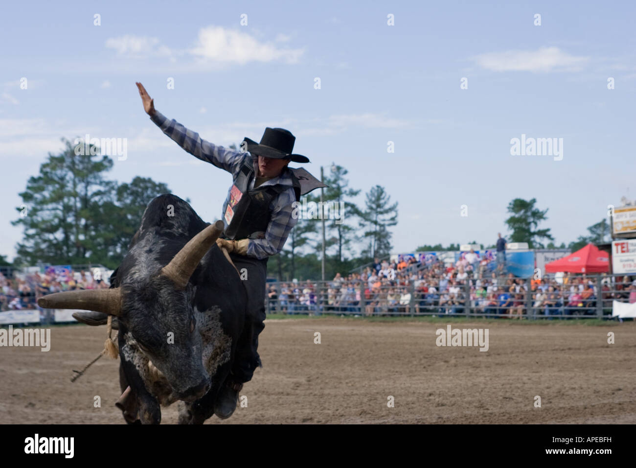 Rodeo cowboy riding a bull Stock Photo - Alamy