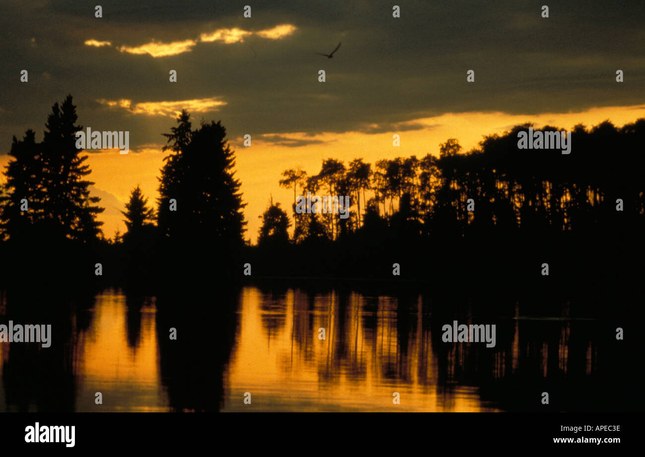 Astotin hi-res stock photography and images - Alamy