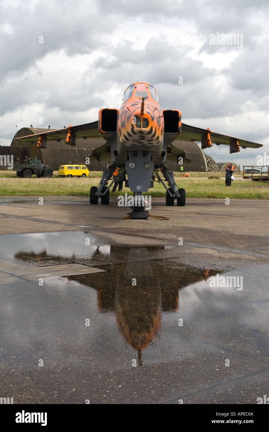 Raf sepecat jaguar hi-res stock photography and images - Alamy