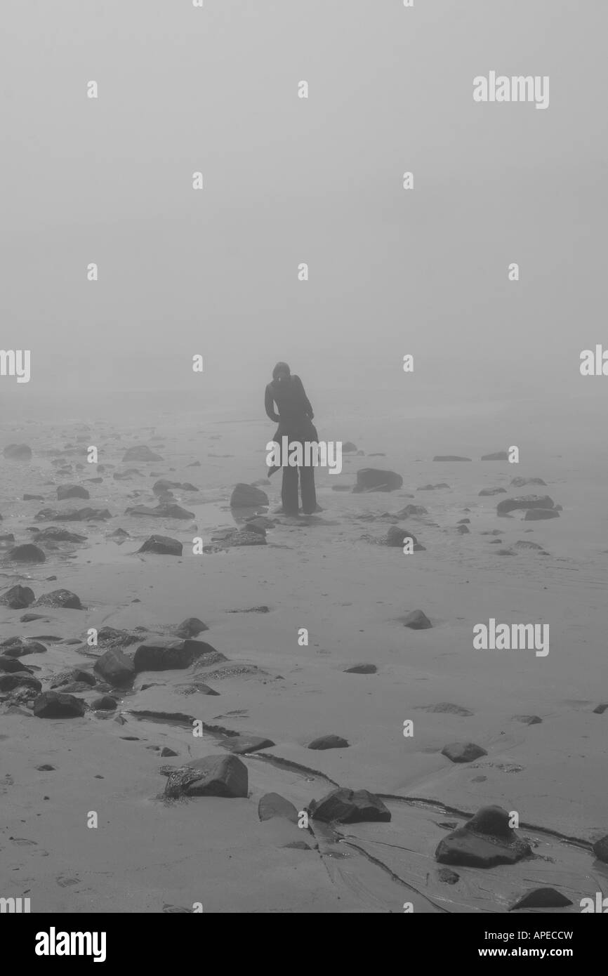 Shells stones in sand Black and White Stock Photos & Images - Alamy