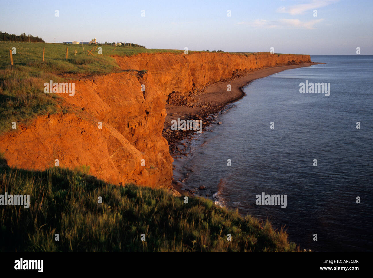 The red cliffs of Prince Edward Island at sunset glow Stock Photo - Alamy