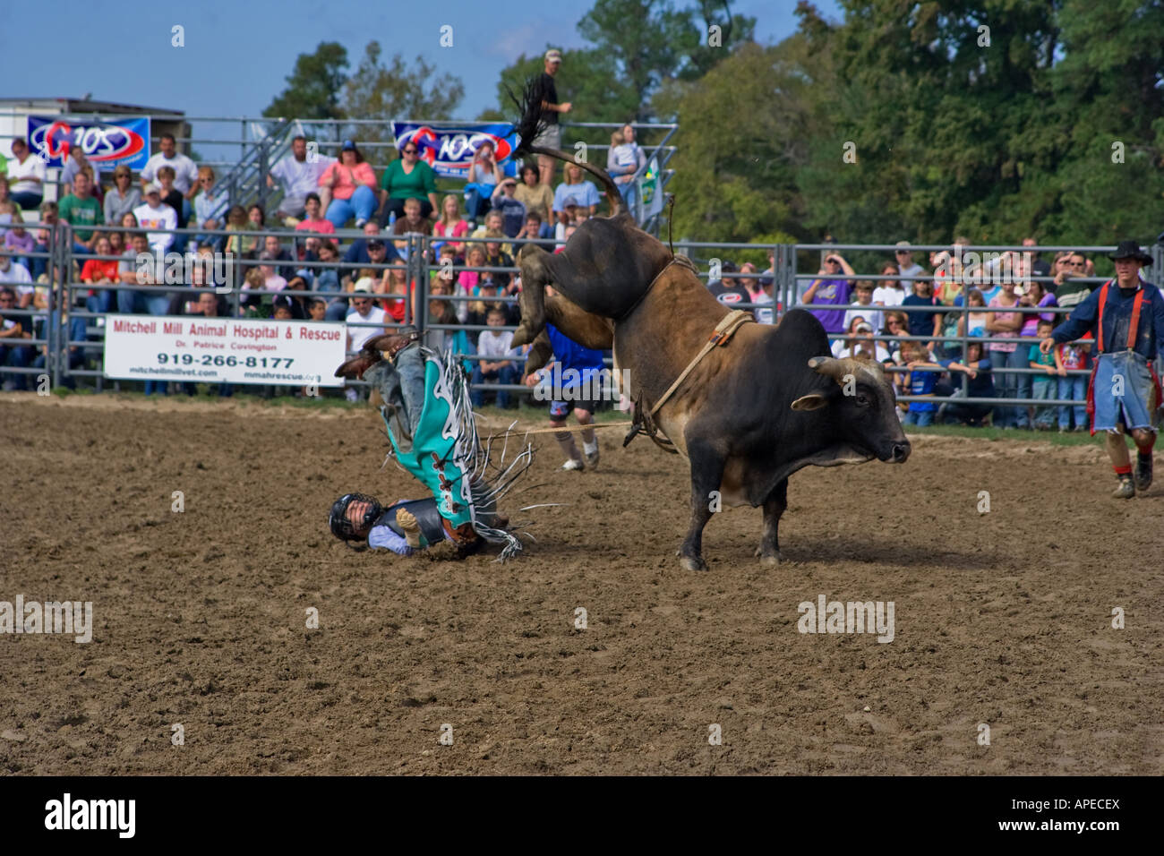 Head over heels hi-res stock photography and images - Alamy