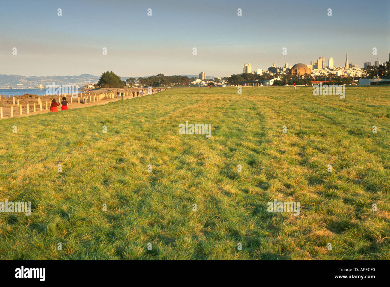 Green grass lawn and people walking next to SF bay Chrissy Field Golden ...
