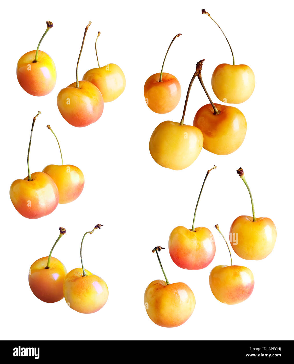 Stemmed yellow cherries hi-res stock photography and images - Alamy