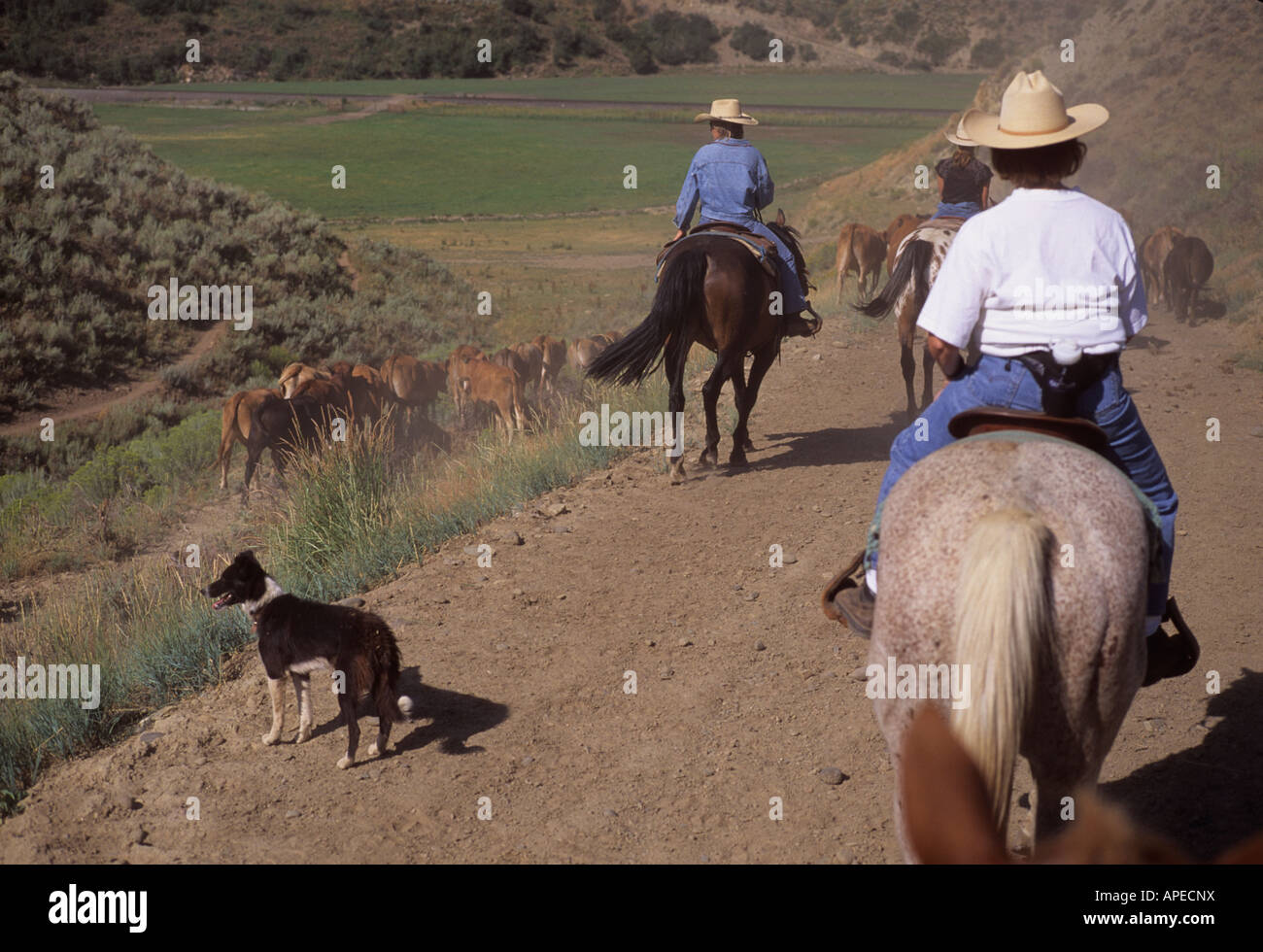 Southwest ranches hi-res stock photography and images - Alamy