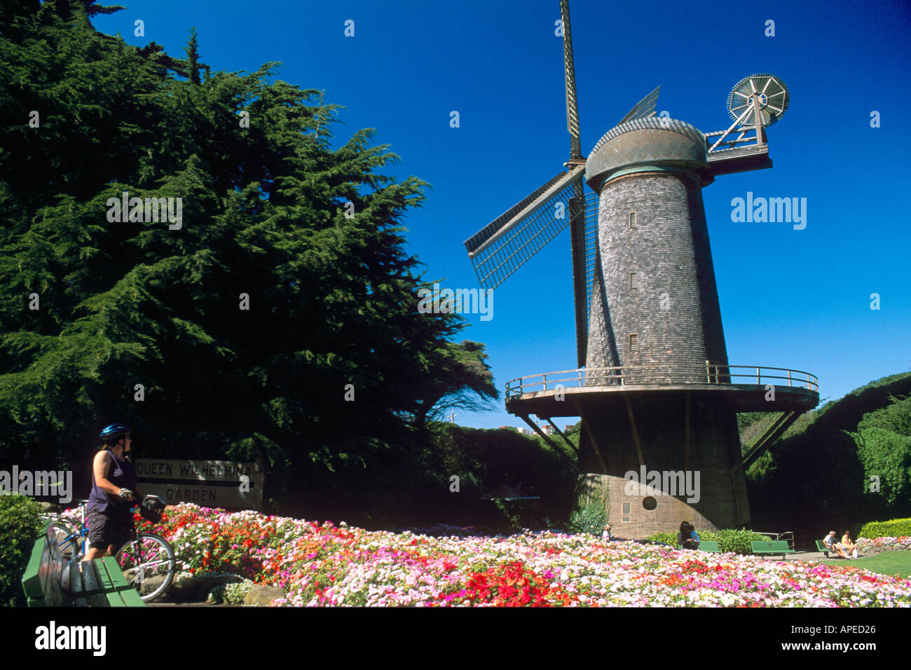 Wooden Dutch Windmill in Golden Gate Park near Ocean Beach San ...