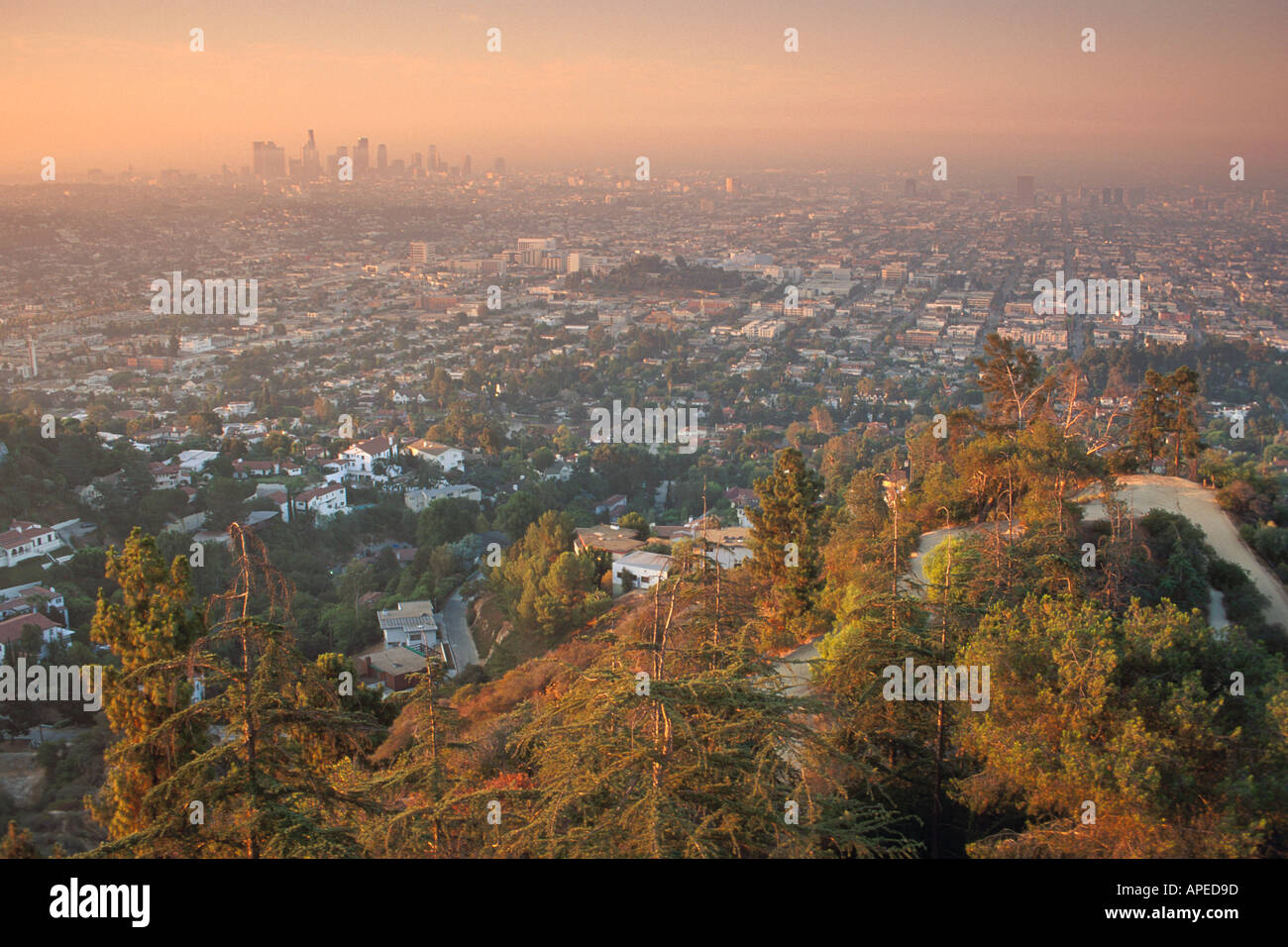 Sunrise over downtown skyscraper buildings and suburbs of Los Angeles ...