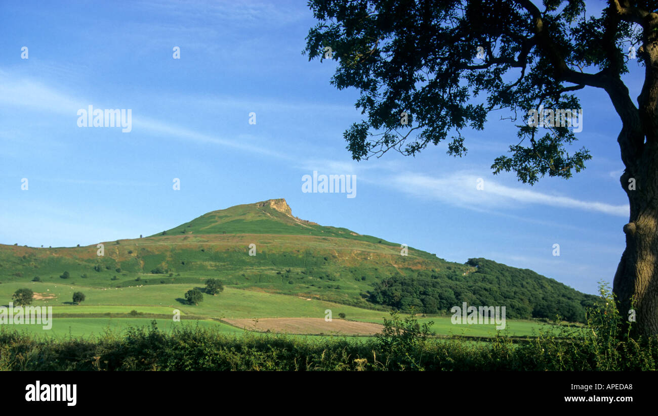 Roseberry Topping, North York Moors National Park, England Stock Photo ...