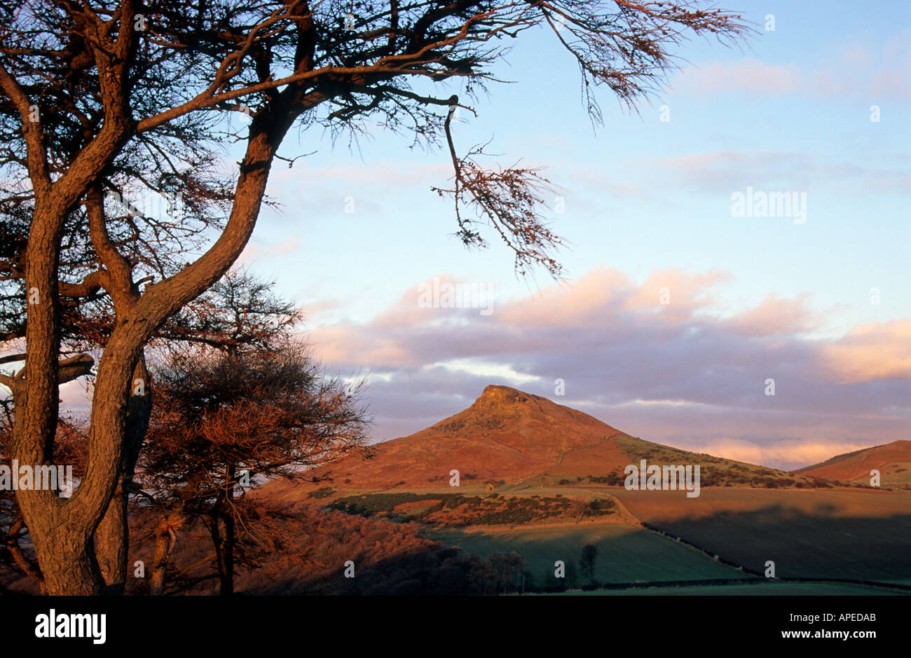 Roseberry Topping, North York Moors National Park, England Stock Photo ...