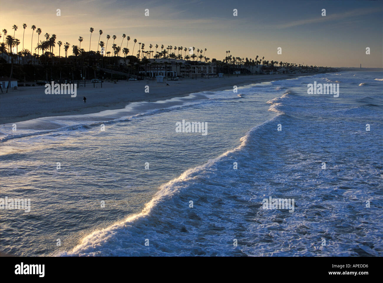 Waves crash along palm tree lined sand beach at sunrise Oceanside San ...