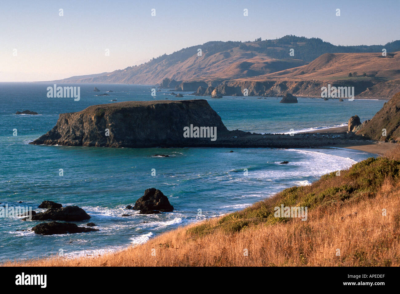 Overlooking Goat Rock Beach coastal cliffs near Jenner Sonoma State ...