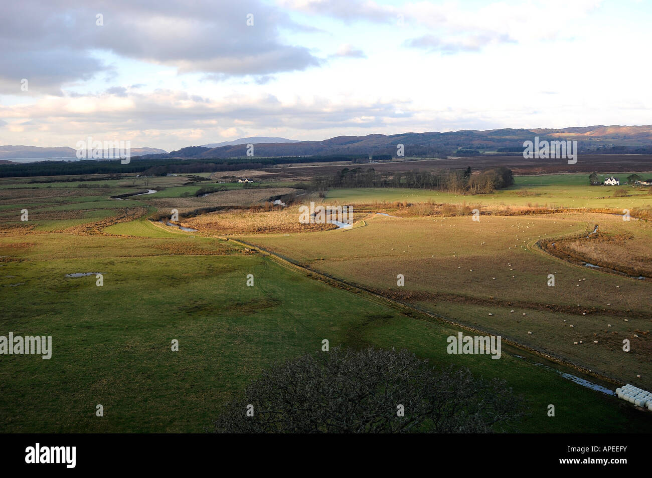 The view across the bog that surrounds the hill Dunadd where Kings were ...