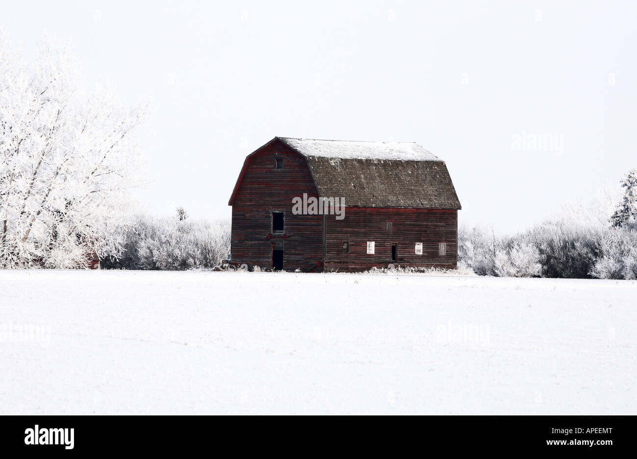 Old barn in winter Stock Photo - Alamy