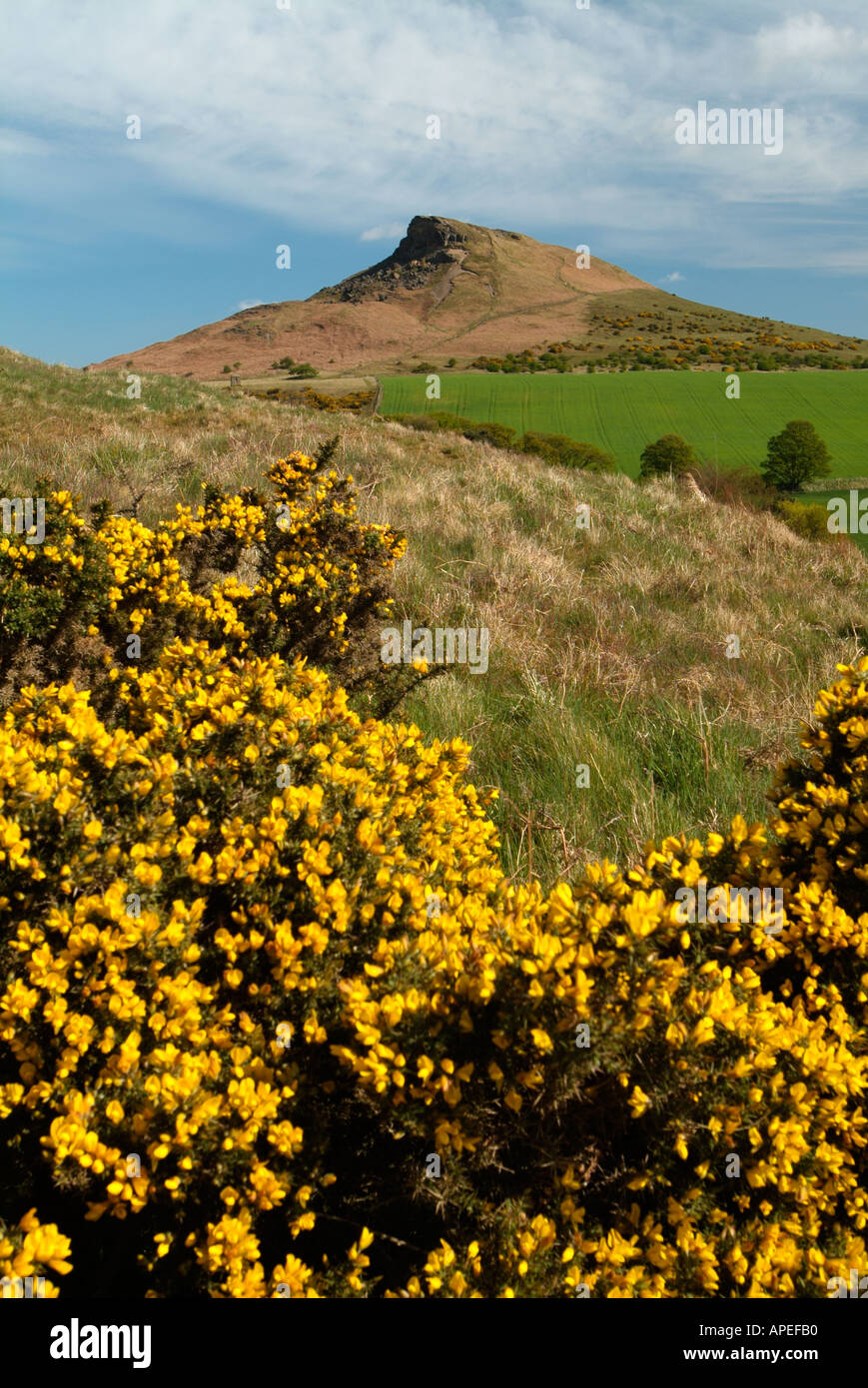 Roseberry Topping North Yorkshire Moors England Stock Photo - Alamy
