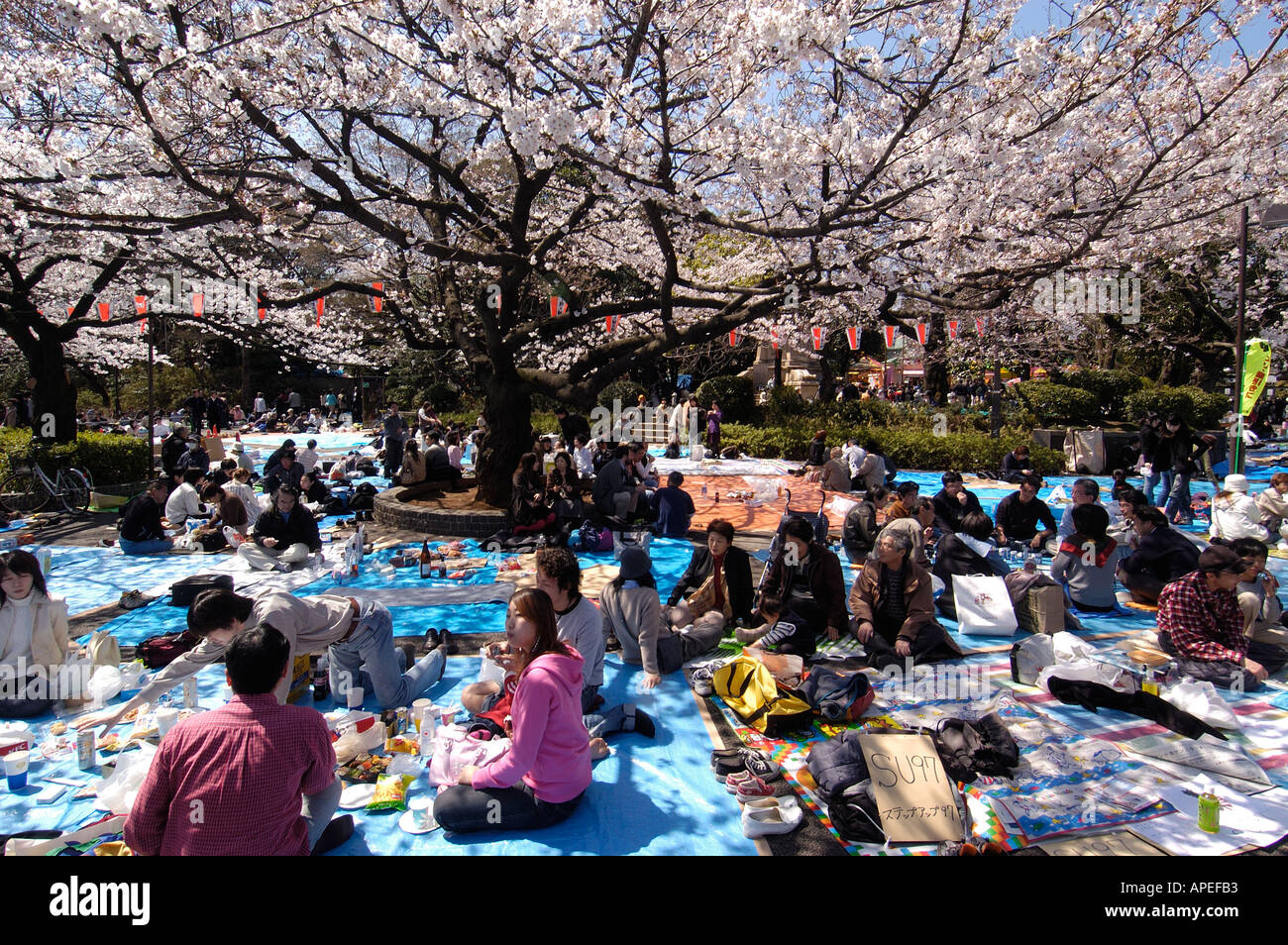 Busy park picnic hi-res stock photography and images - Alamy