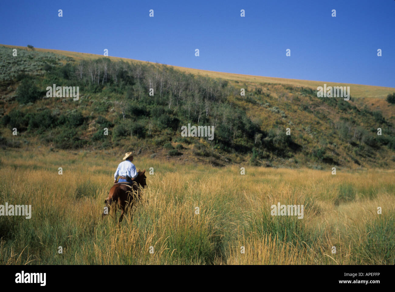 Cowboy hats pasture hi-res stock photography and images - Alamy