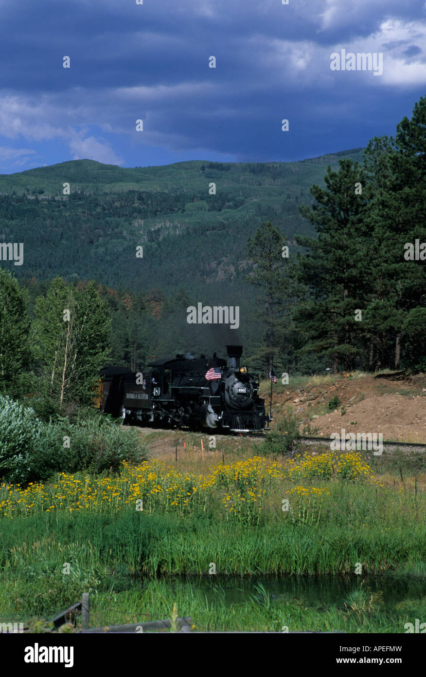 A steam engine chugs through a valley near a field of wildflowers Stock ...