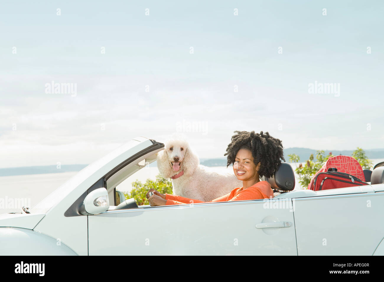 African woman and dog in convertible car Stock Photo - Alamy