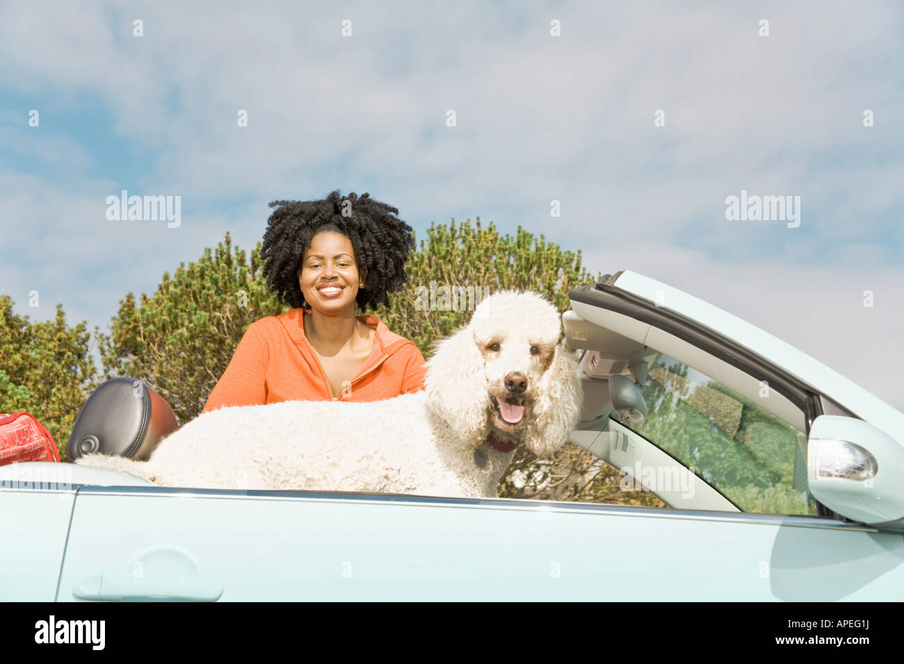 Dog convertible hi-res stock photography and images - Alamy
