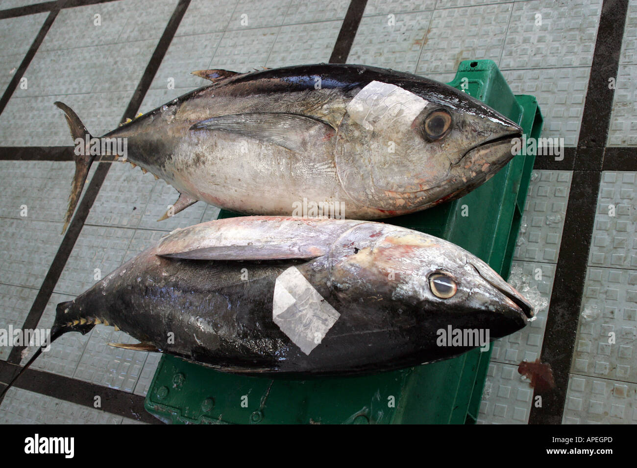 Madeira food fish hi-res stock photography and images - Alamy
