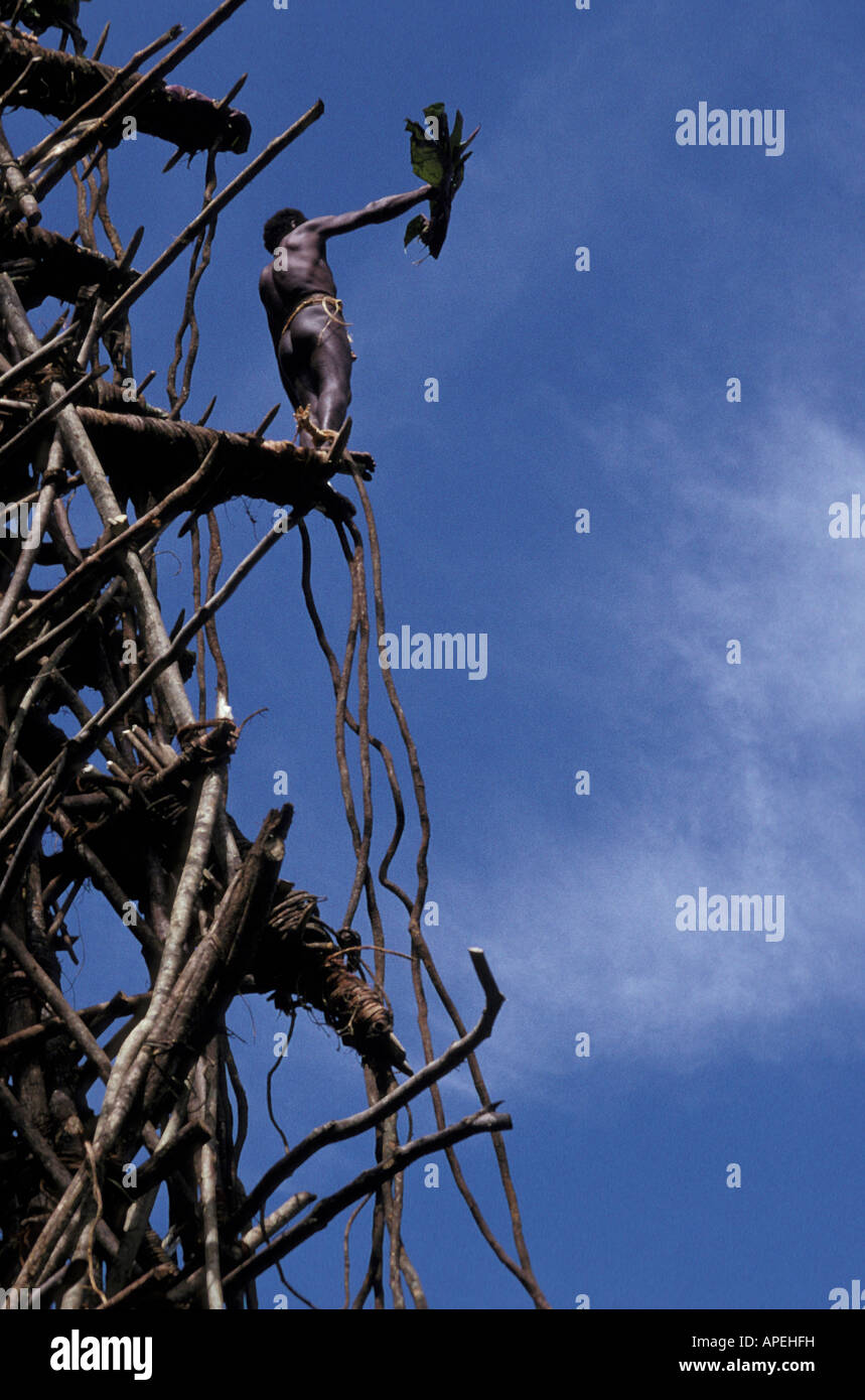 Land diving pentecost island hi-res stock photography and images - Alamy