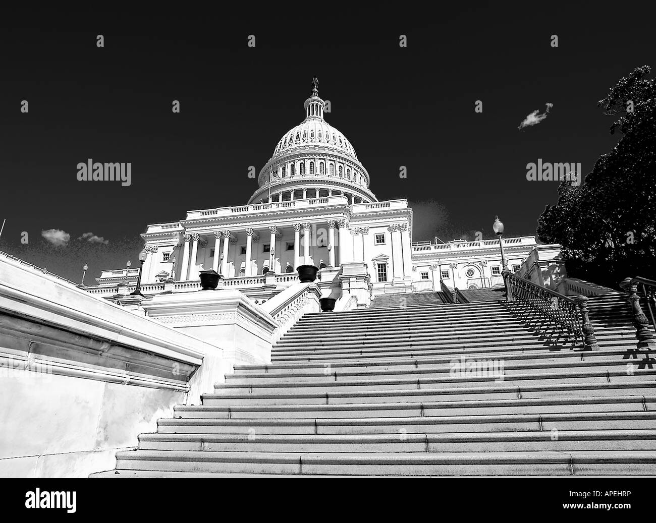 Steps leading to the Washington Capitol, Washington D.C Stock Photo - Alamy